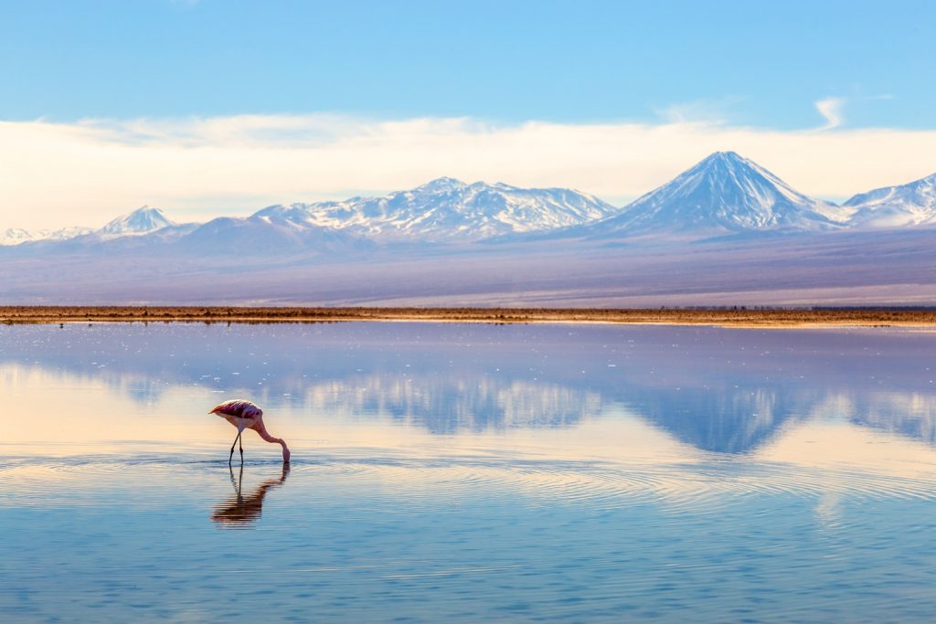 Santiago e Atacama: por que visitar os dois destinos chilenos