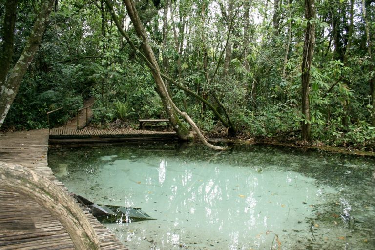 O que fazer em Brotas (SP): 8 pontos turísticos imperdíveis