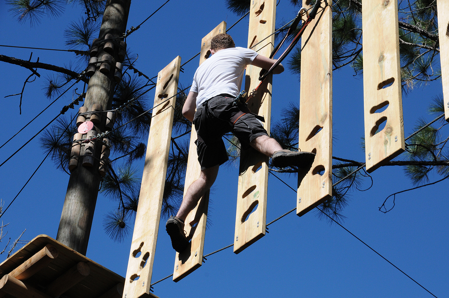 Viva aventuras no Orlando Tree Trek Park, em Kissimmee | Segue Viagem