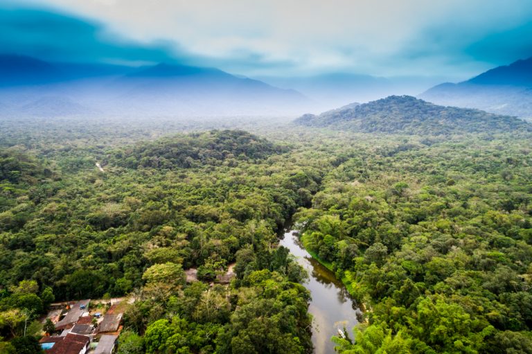Tudo o que você precisa saber sobre a Selva Amazônica - Blog Koa Viagens