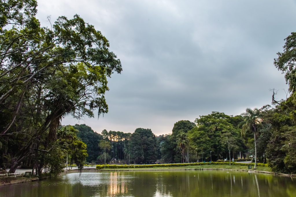 shutterstock Horto Florestal São Paulo | Segue Viagem