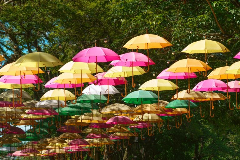 O que fazer em Holambra, em São Paulo | Segue Viagem