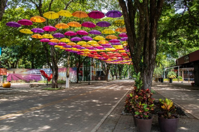O que fazer em Holambra, em São Paulo | Segue Viagem