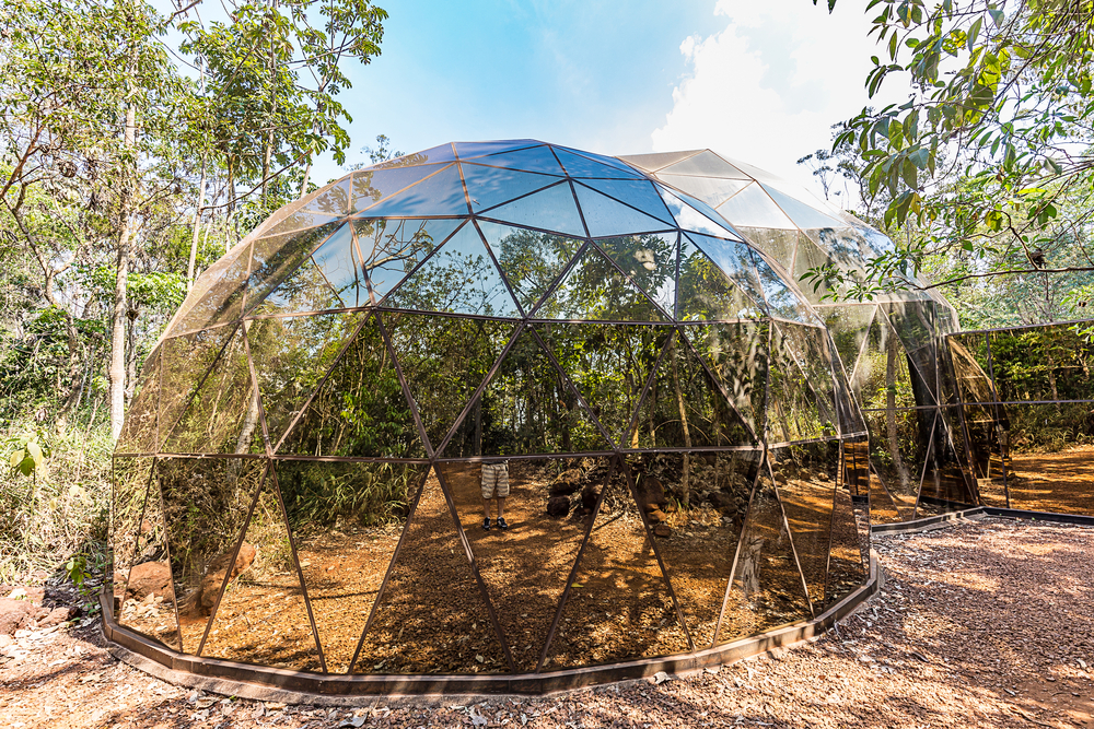 As melhores dicas para visitar o Inhotim (MG) | Segue Viagem