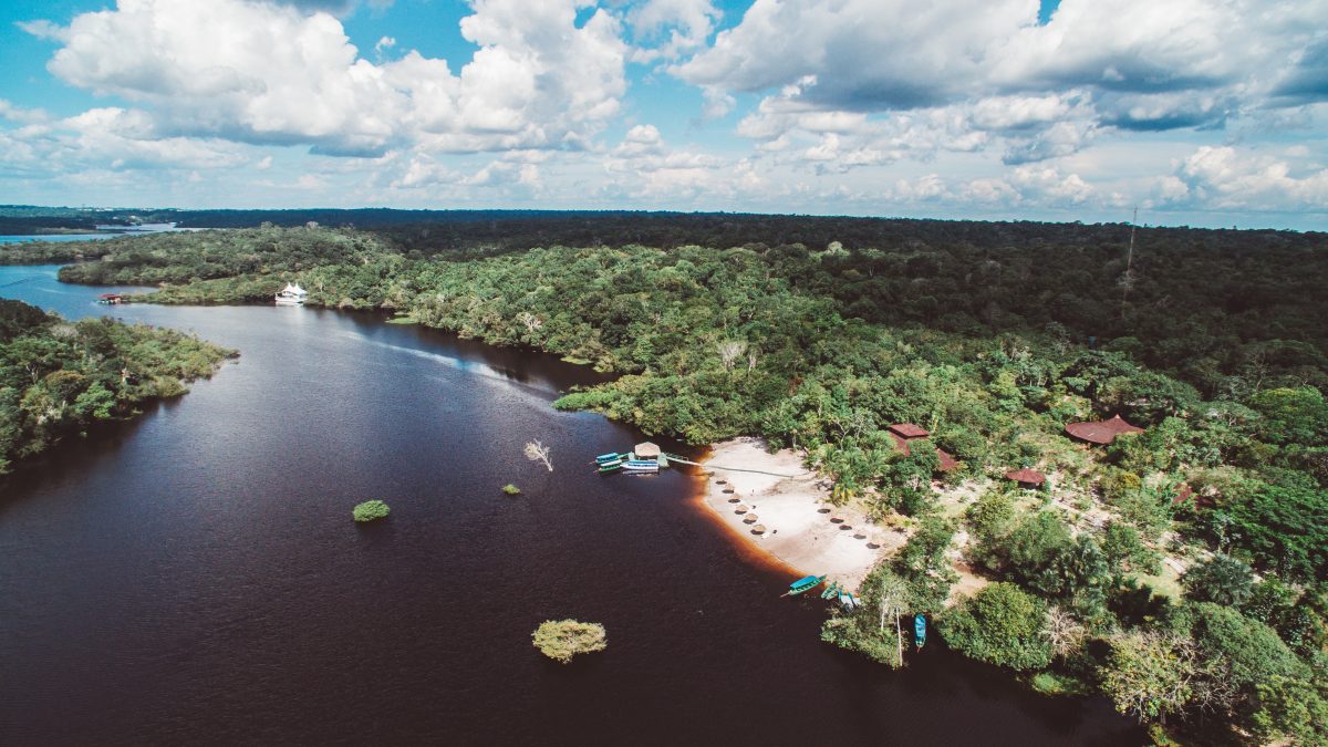 Onde se hospedar no Amazonas: dica de hotel na Selva Amazônica