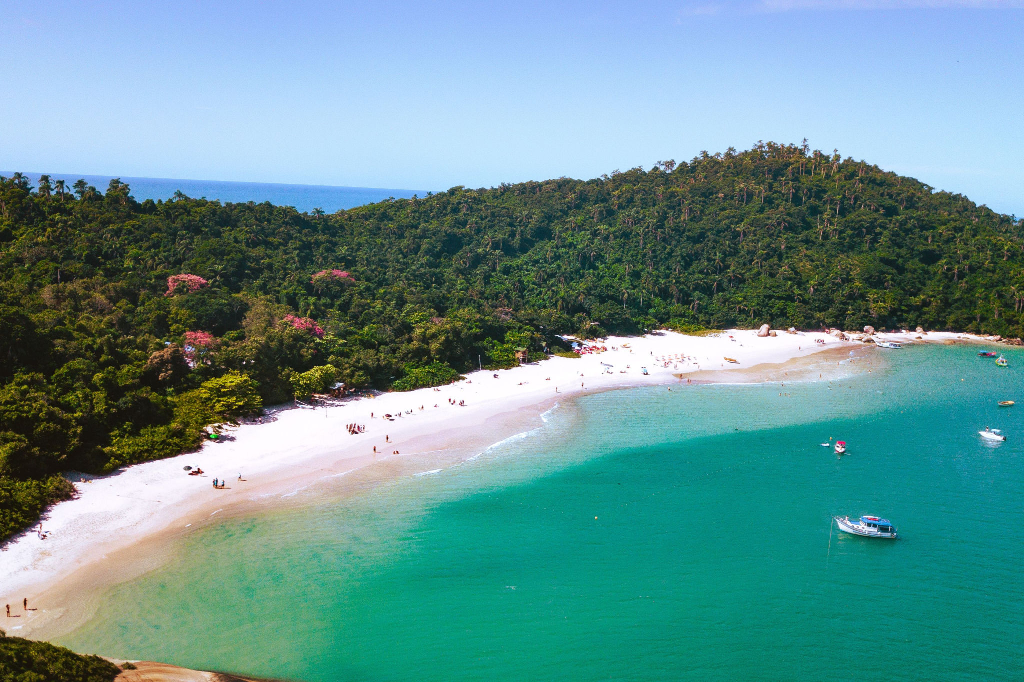 Passeio na Ilha do Campeche: informações essenciais